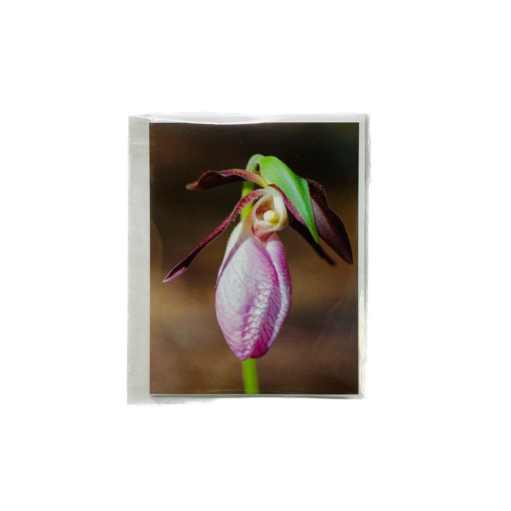 A Lady Slipper Card by Shell Ette - Danbury Country Store